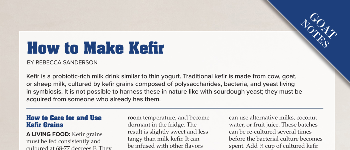 How to Make Kefir - Goat Journal